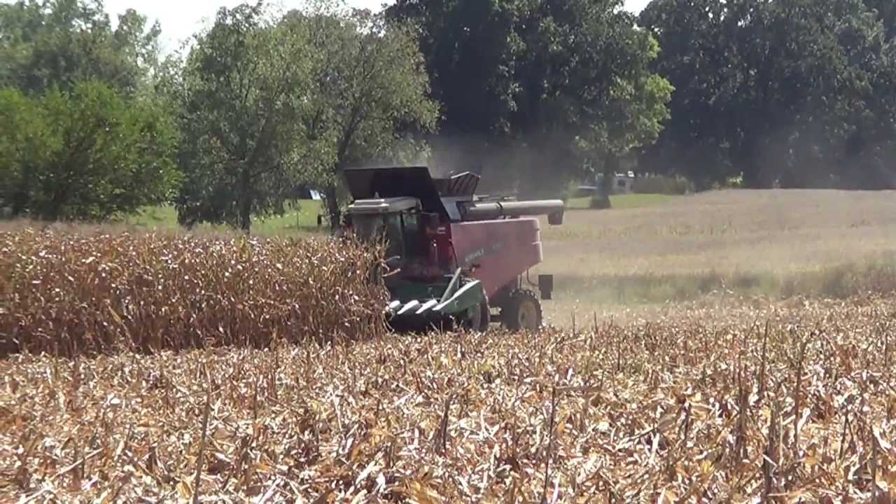 Corn Harvest 2013 near Elkhart Indiana with a Versatile RT490 combine ...