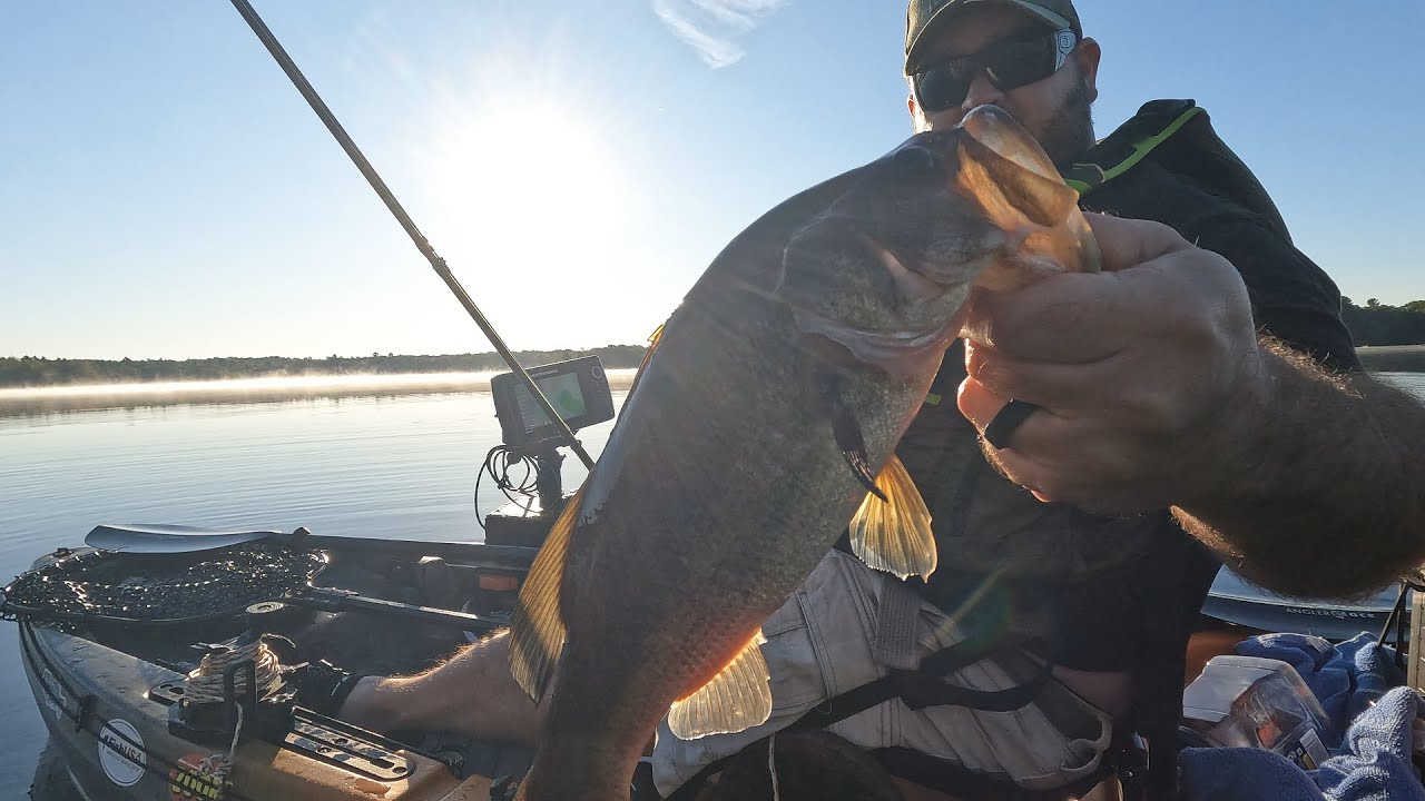 SEPTEMBER BASS FISHING! Where to find and catch them! - YouTube