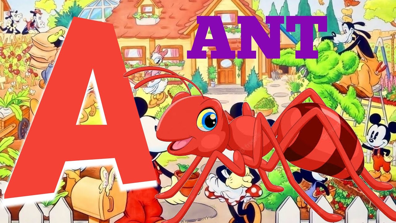 a for ant . phonics song.english alphabets song for kids and nursary ...