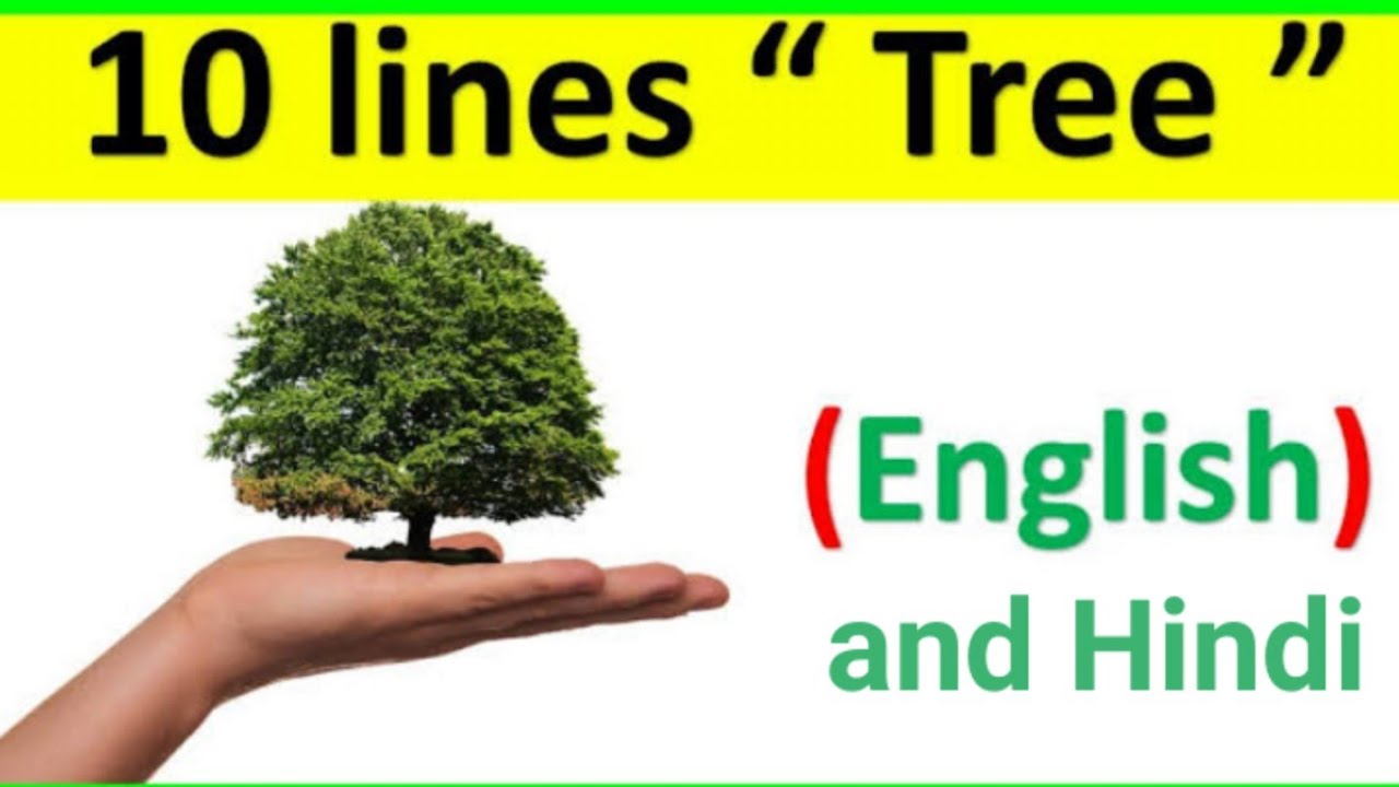 10 Lines On Importance Of Trees In Hindi And English Language - YouTube