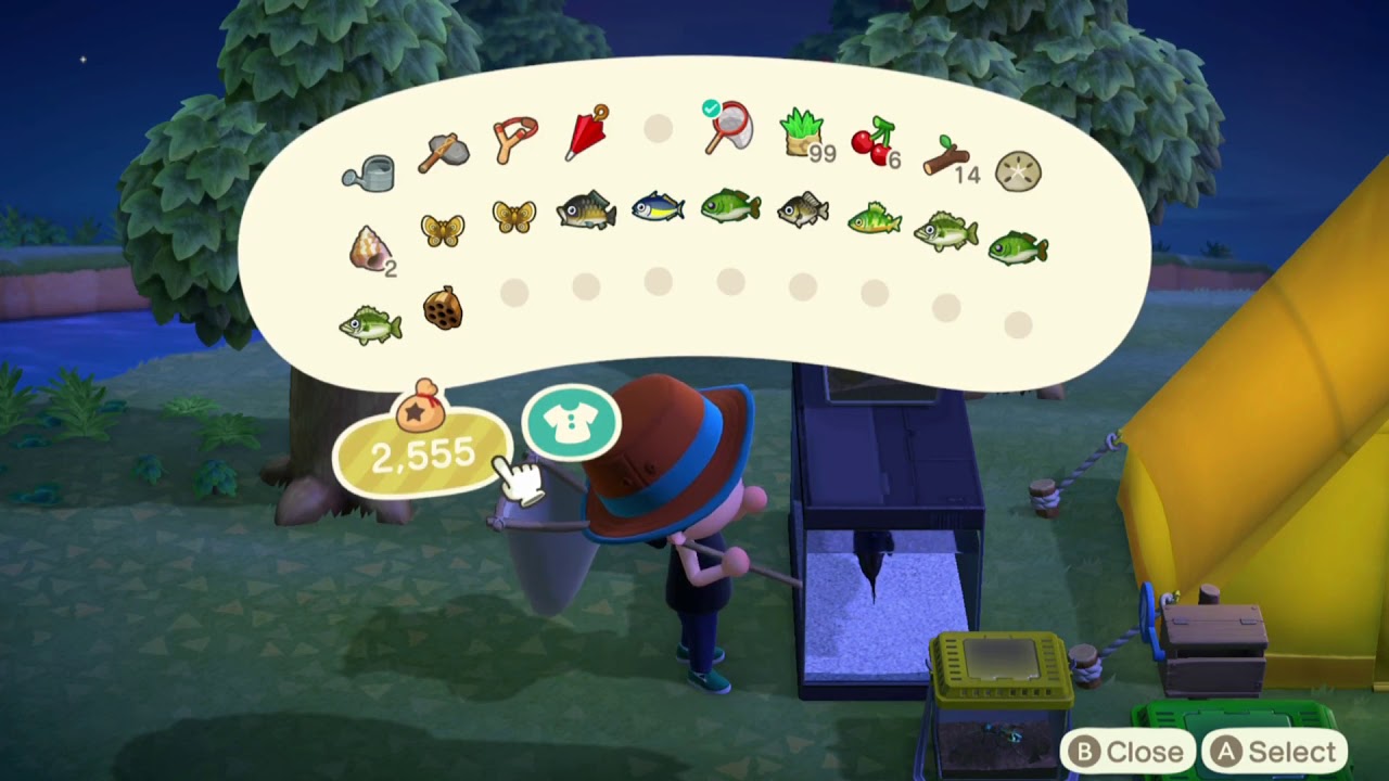 Animal Crossing: New Horizons - Journal Entry 2 - YouTube