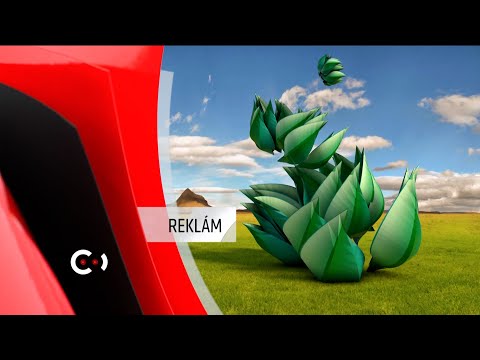 Cool TV nyári arculat - 2021. június