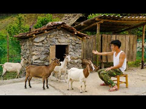 The soldier took care of the baby while building a goat shed to start a new life.