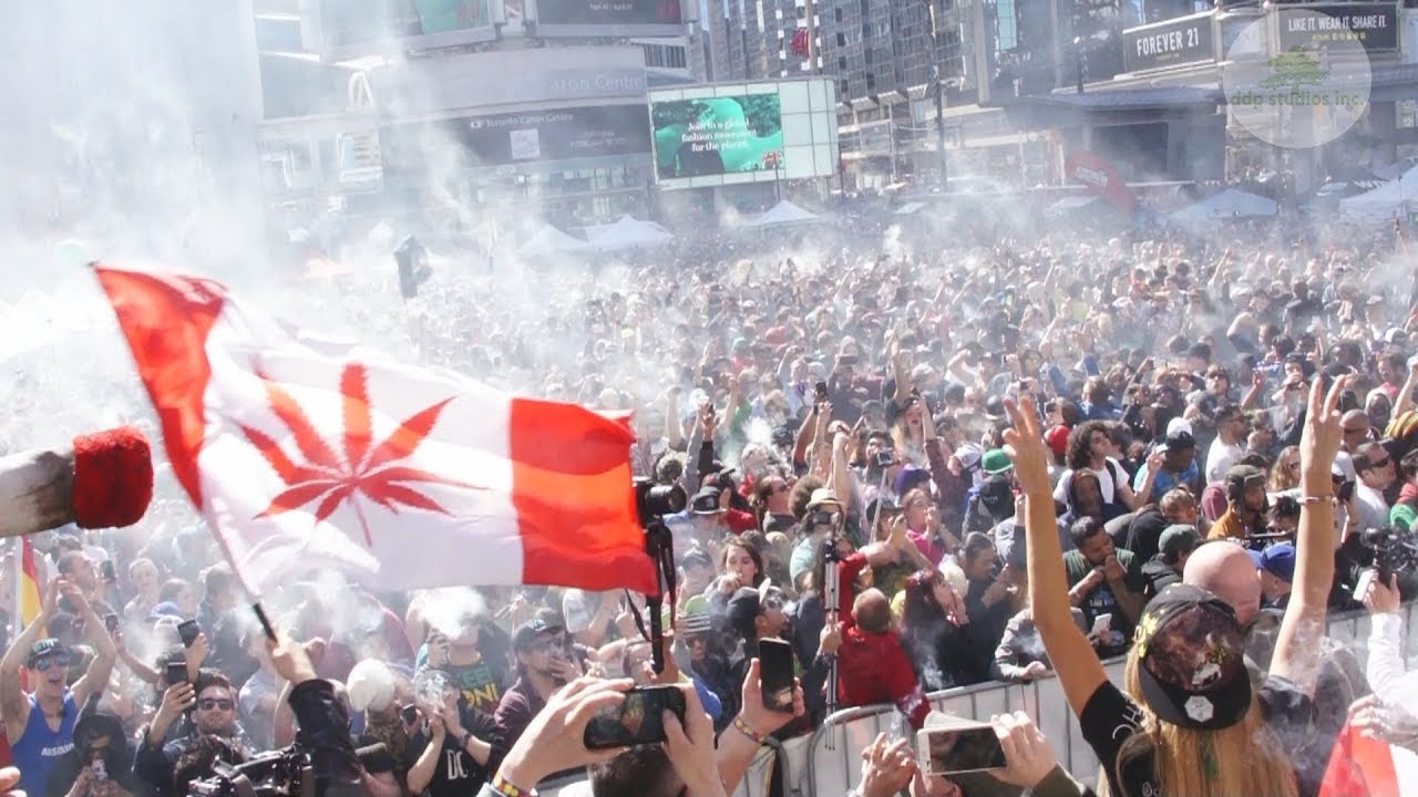Cannabis Celebration in Toronto on 420 - YouTube