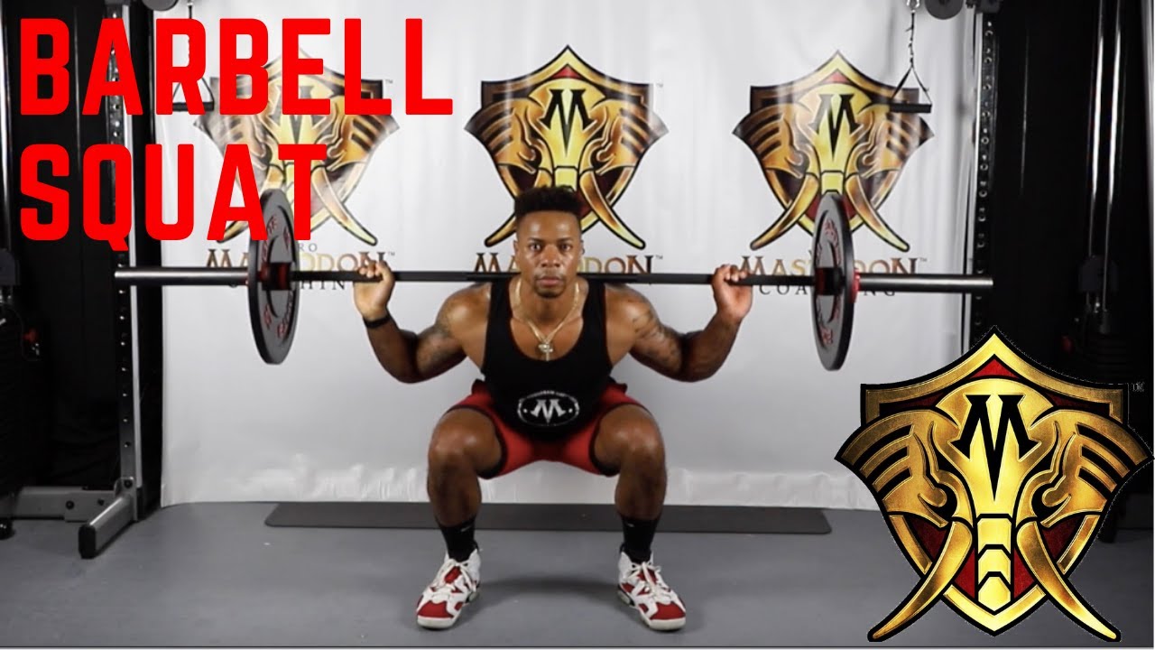 Barbell Squat - Tutorial & Proper Form - YouTube