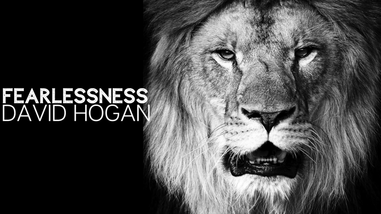 David Hogan | FEARLESSNESS - YouTube