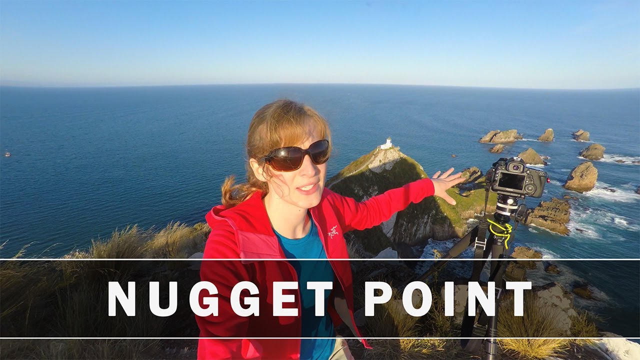 A Memorable Moment at Nugget Point - YouTube