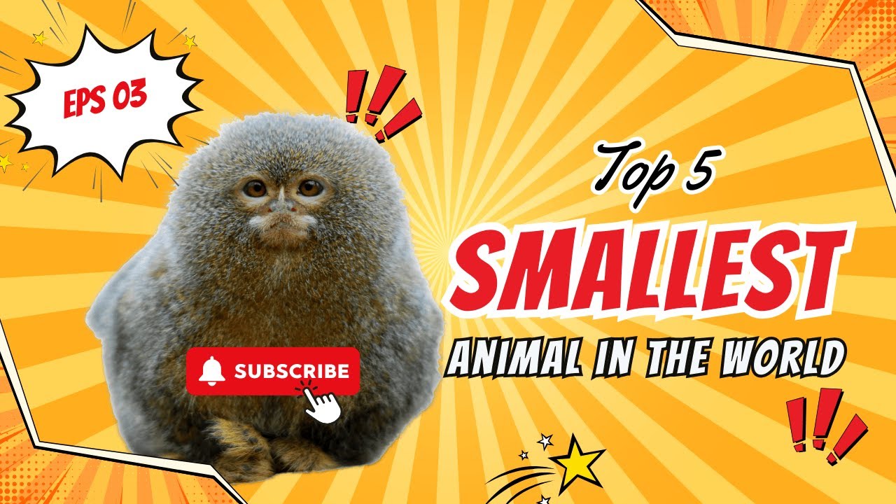 Top 5 Fascinating Tiny Animals You Won't Believe Exist – Discover the ...