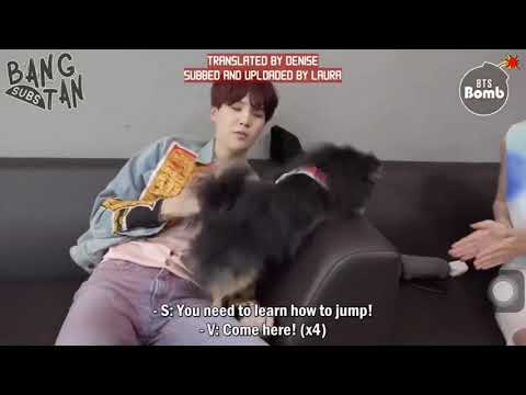 BTS VS J-HOPE COMO TIO DE YEONTAN 😍🤣 LO AMA VEANLO🐶