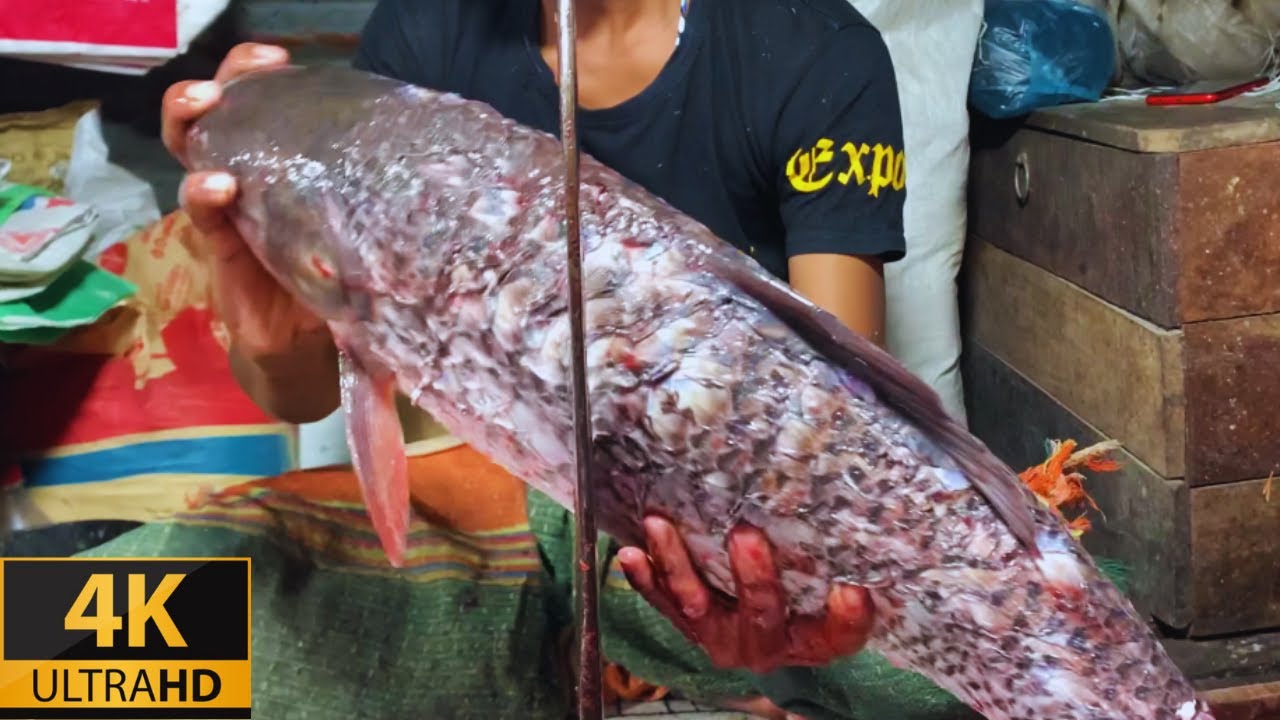 Amazing Giant Big Rohu Fish Cutting Skills - YouTube