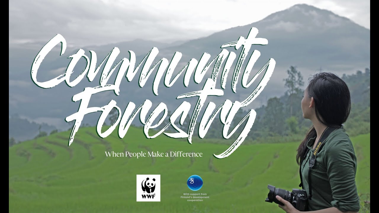 Bhutan's Community Forestry - YouTube