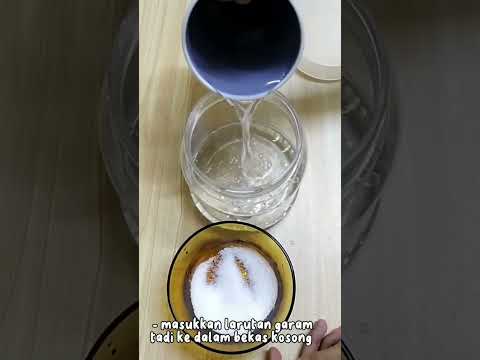 pbl biology form 4 (penjerukan buah) - YouTube