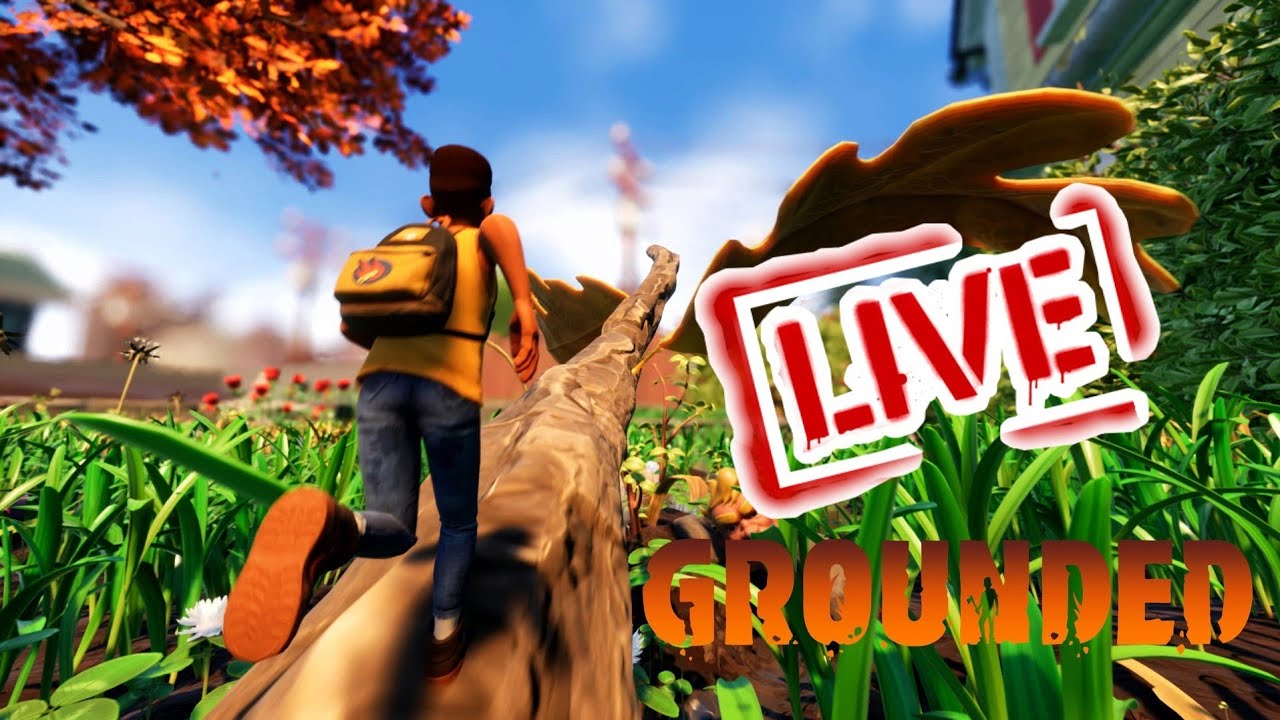 Backyard Survival at its FINEST!! | Grounded Live Stream - YouTube