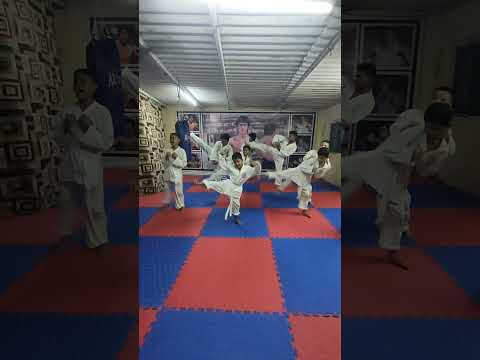 sidekick karate 🥋👊 - YouTube