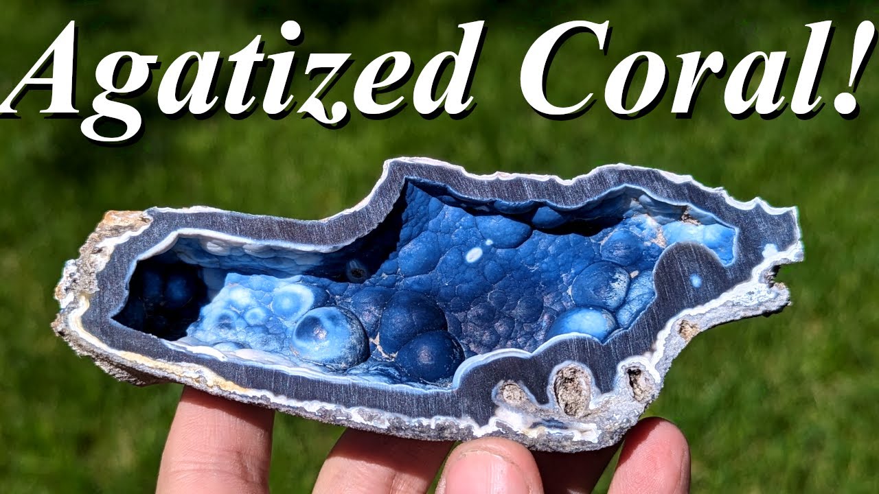 So Much Coral! Cutting a Heap of Beautiful Agatized Coral Geodes and ...
