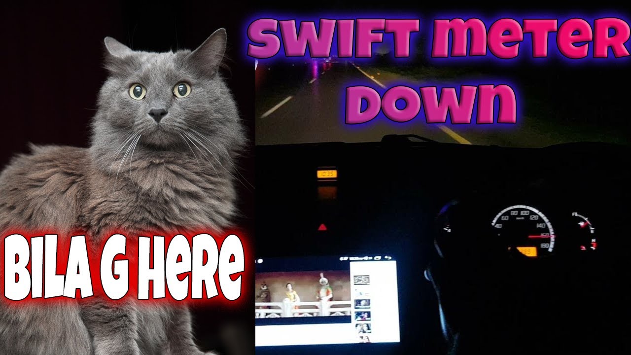 Dangerous meter down |{ cat cutting} —- with friends - YouTube