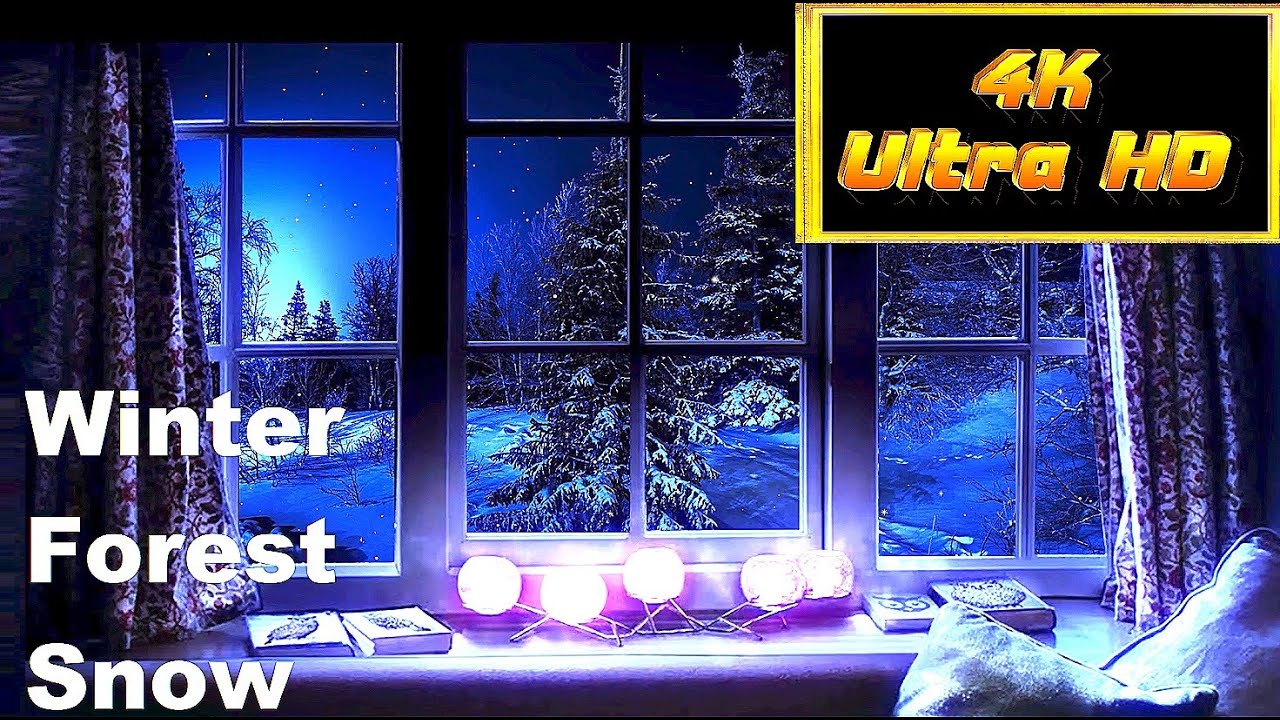 SNOWFALL through WINDOW | Forest View | Night Ambience | 4K (3D ...