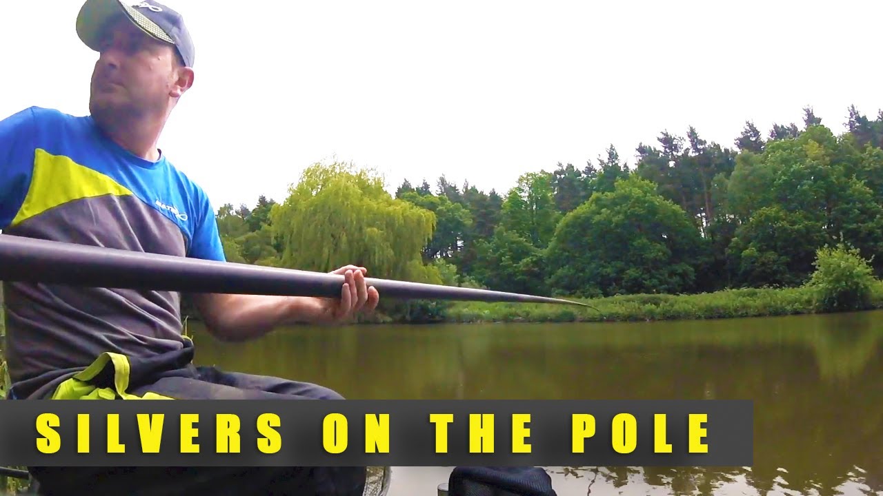 CATCH ANYTHING SHALLOW & DEEP ON THE POLE! SILVER FISH ON THE POLE ...
