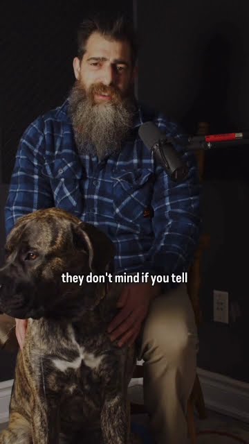 Why do people like dogs 🐕‍🦺🐾Every Home Needs a Dog 🐶🦮 - YouTube