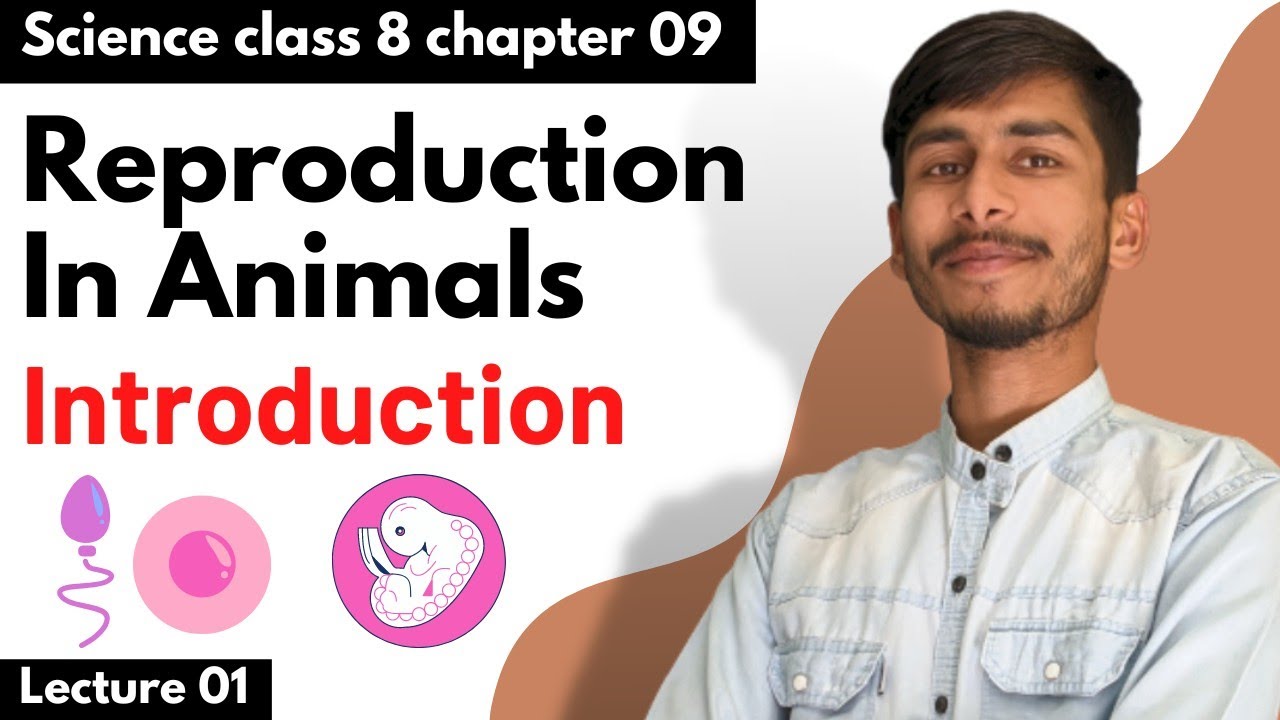 Part -1 | Chapter 9 Reproduction In Animals | Introduction - class 8 ...