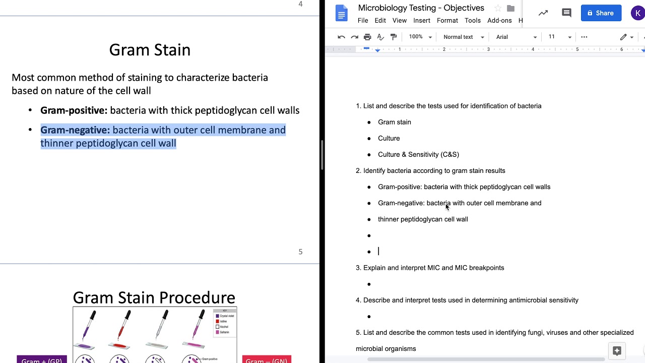 Taking Notes on Microbiology using Ali Abdaal's spreadsheet method ...