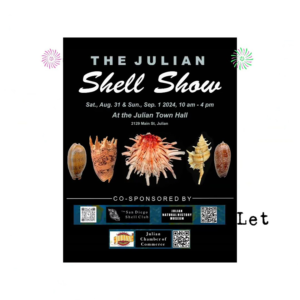 Julian Shell Show Julian Natural History Museum - YouTube