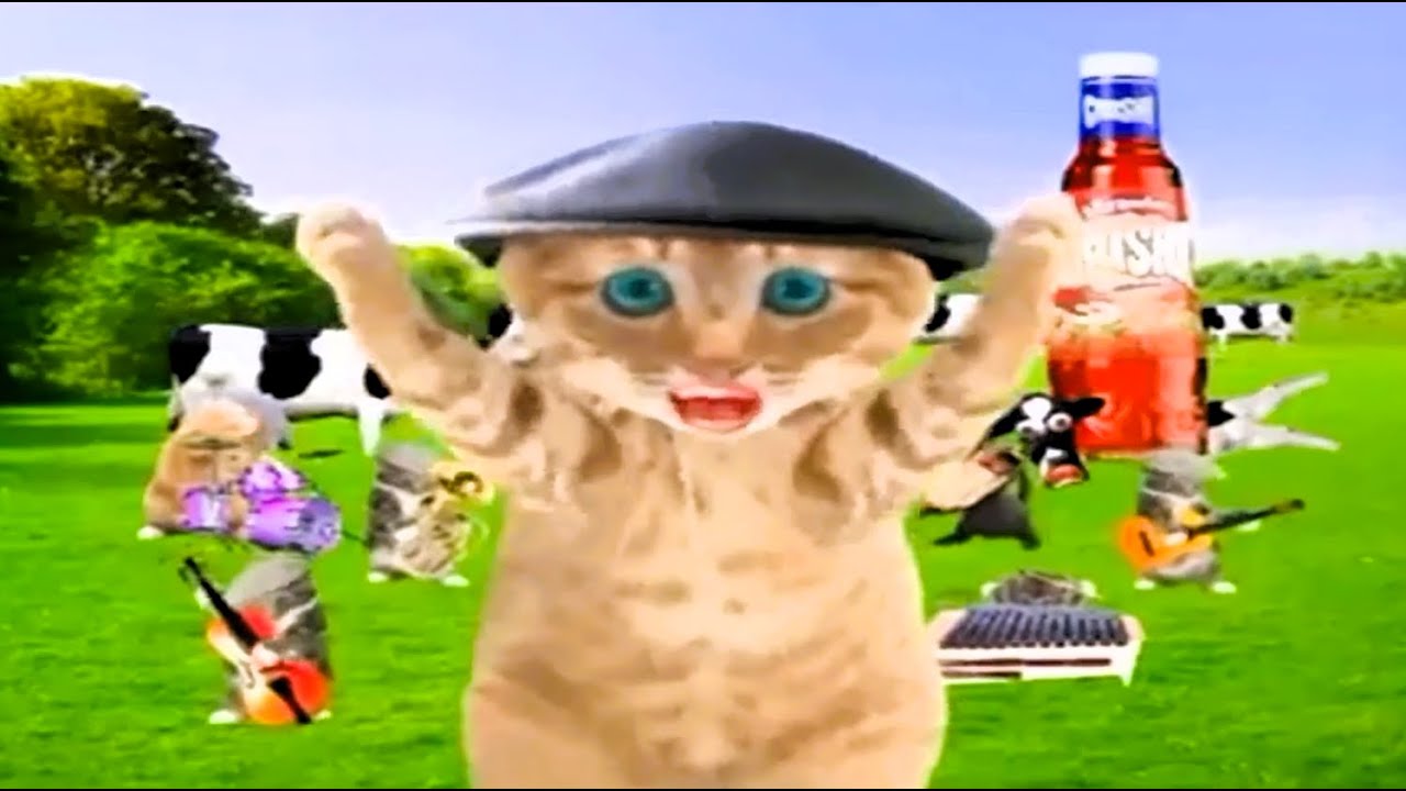 Classic funny Crusha Kittens Advert. 2003 (Full Ad / UK) - YouTube