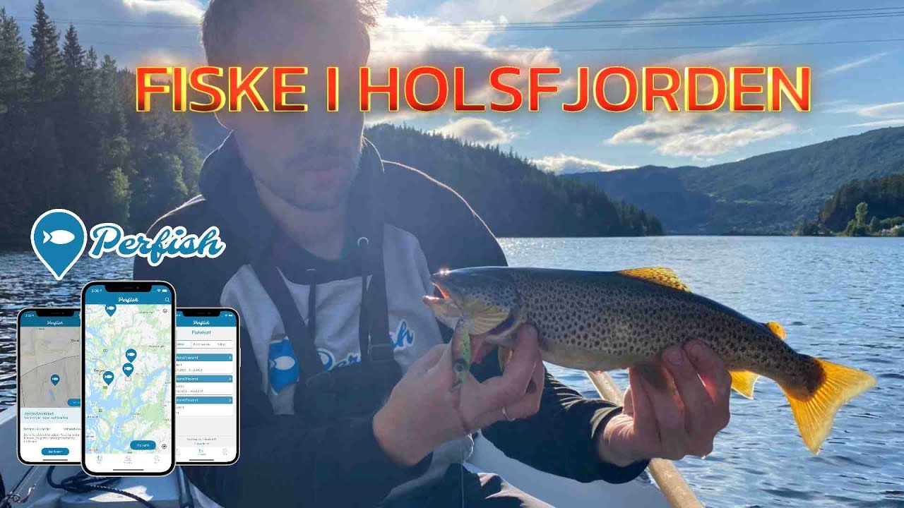 Ørretfiske i Holsfjorden! Aure | Østre Hol JFF |Perfish Fiskekort ...