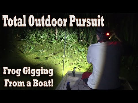 How to Gig Bullfrogs from a Boat at Night! Accessing Virgin Ground ...