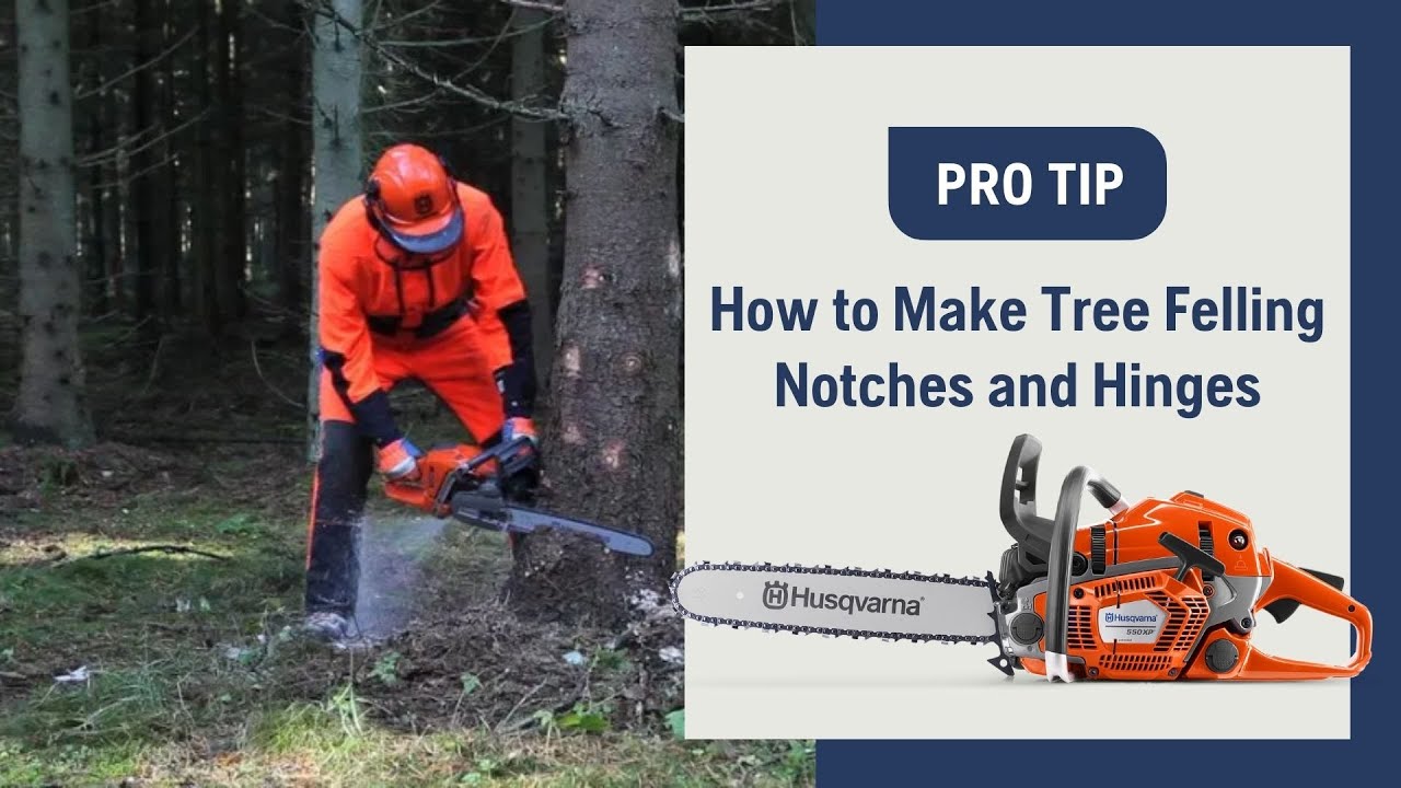 How To Make Tree Felling Notches And Hinges With A Chainsaw | Husqvarna ...