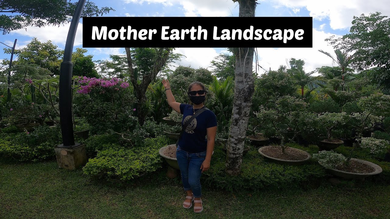 MOTHER EARTH LANDSCAPE @E RIDER - YouTube