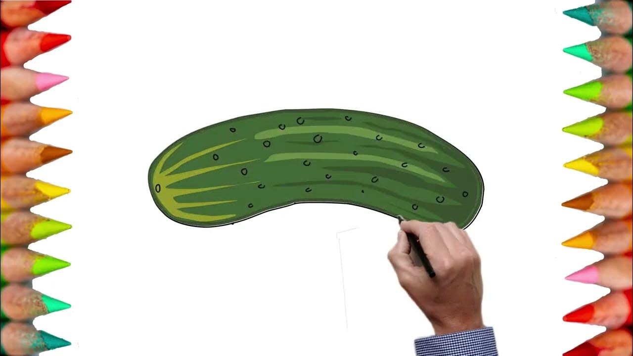 how to draw cucumber step bys step for beginner - YouTube
