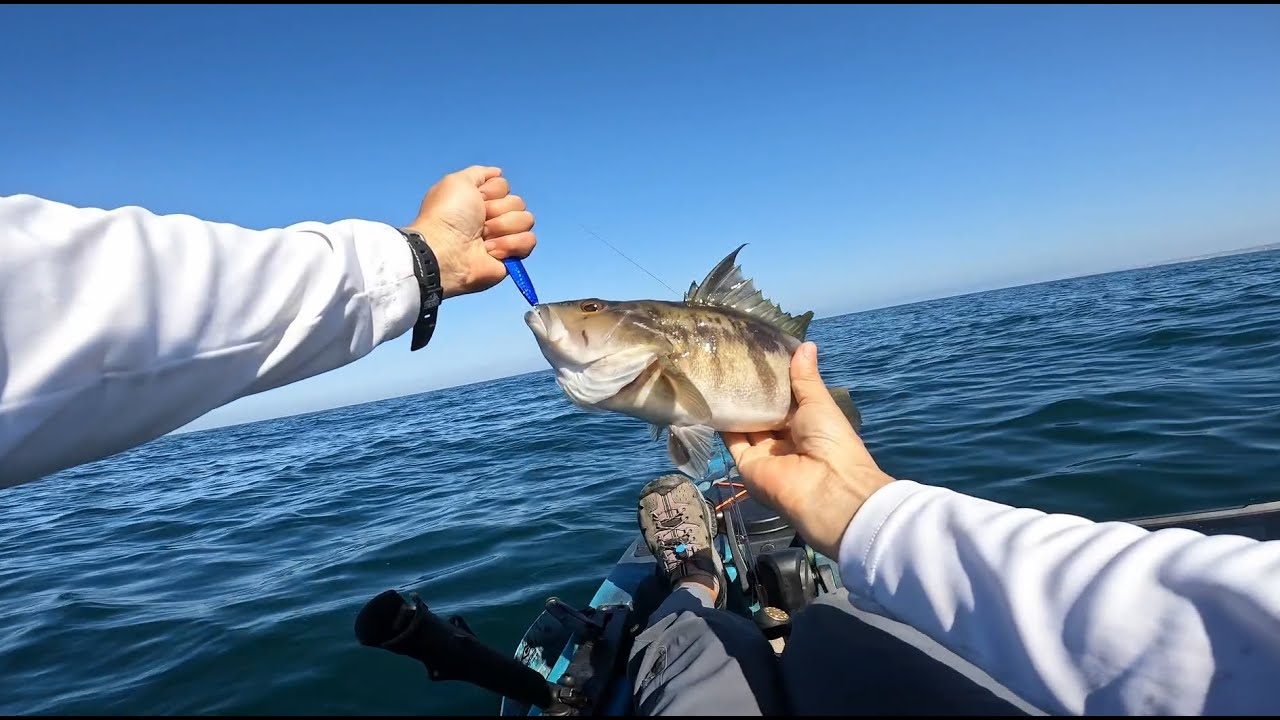 Southern California kayak fishing - how to fish Redondo Beach for ...