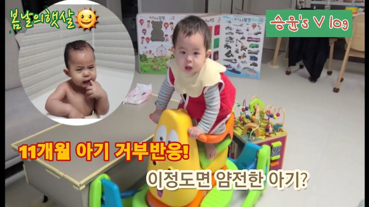 11개월 아기의 하루 결혼출산육아를 시작하는 순간 내몸은 내 것이 아니다이유식거부 목욕거부 양치거부 Youtube