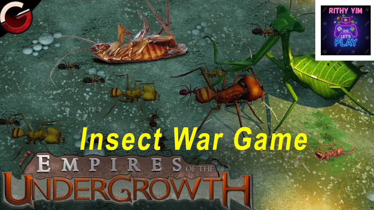 Insect War Game ep3(Wowww I Win and Go To New Evolution) - YouTube