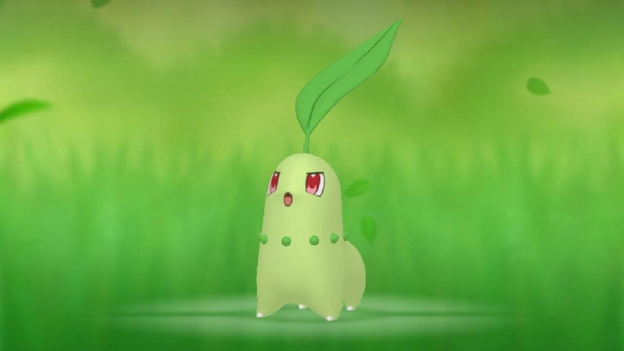 Pokédex #152: Chikorita - YouTube