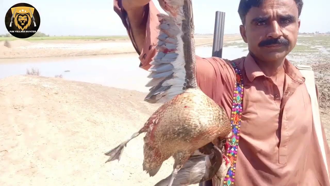 Duck Hunting in Pakistan | Murghabi Ka Shikar | Best Hunting Video|Pak ...