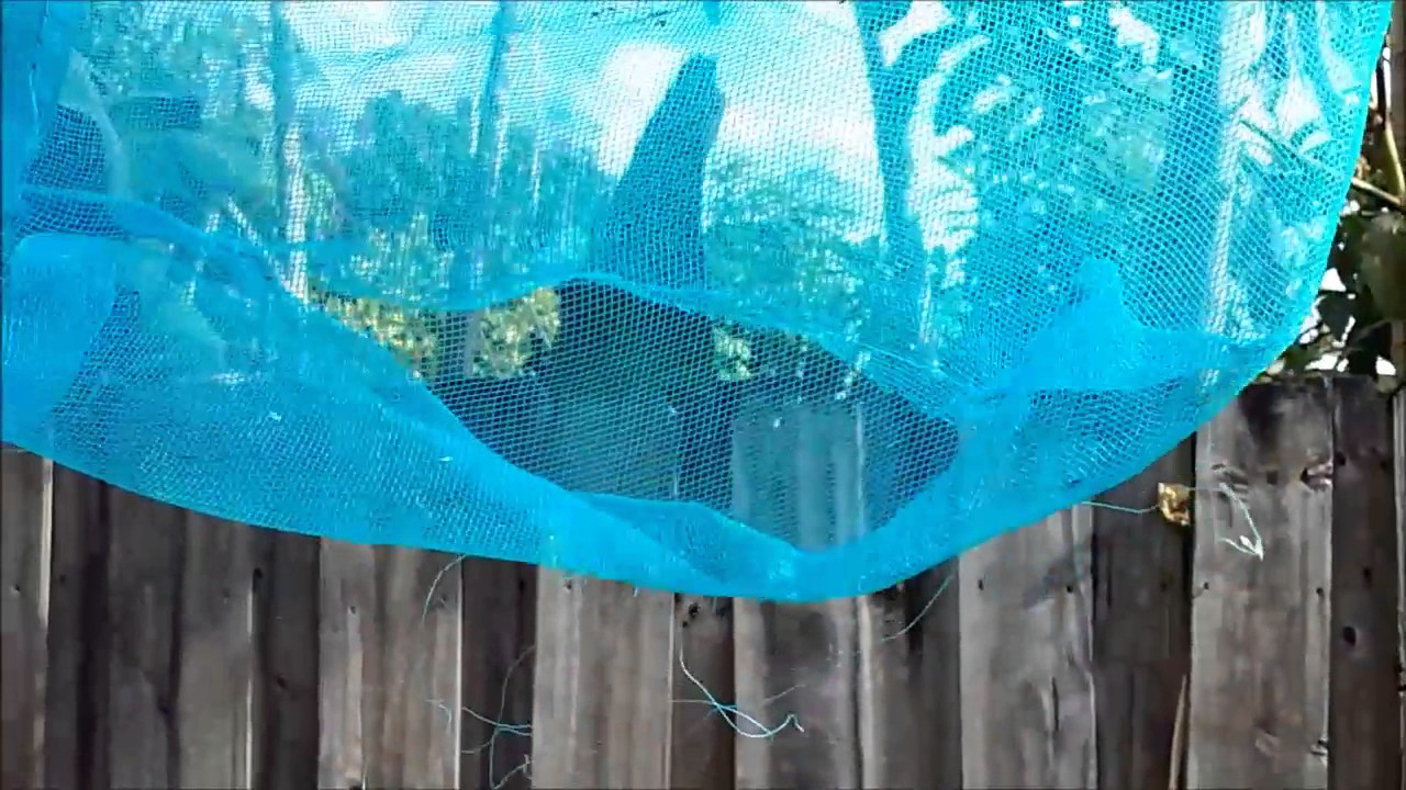 Repair a torn pool leaf skimmer - quick and cheap - YouTube