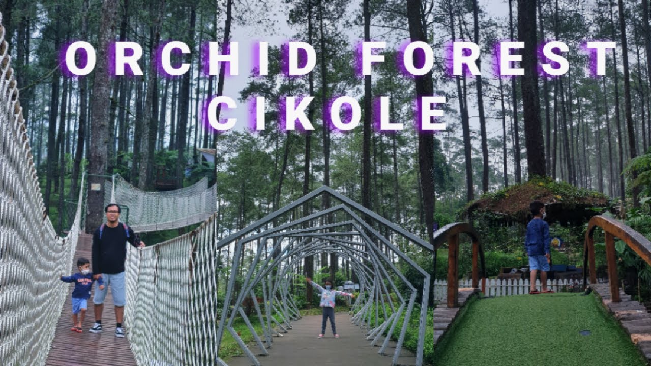 Wisata Orchid Forest Cikole Bandung 2021 | TRAVEL VLOG - YouTube
