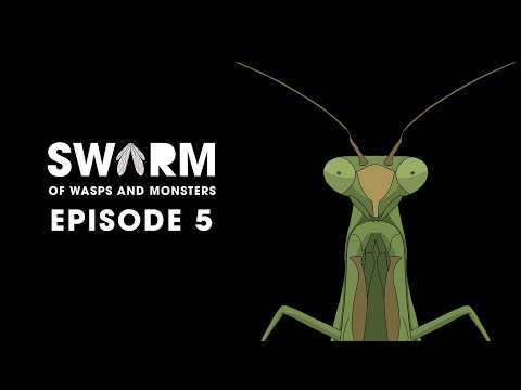 SWARM:Of Wasps & Monsters Episode 5