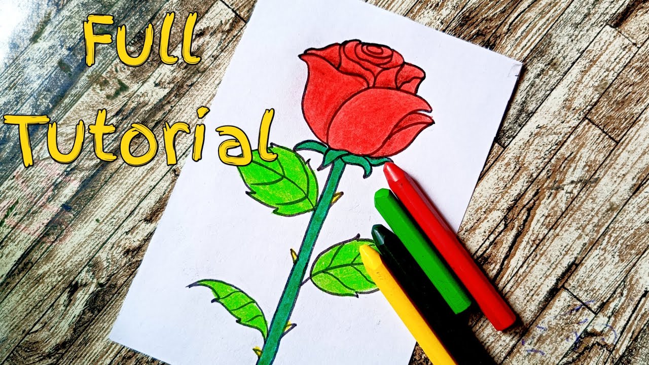 Rose Flower Drawing | How to Draw a Rose step by step with color ...
