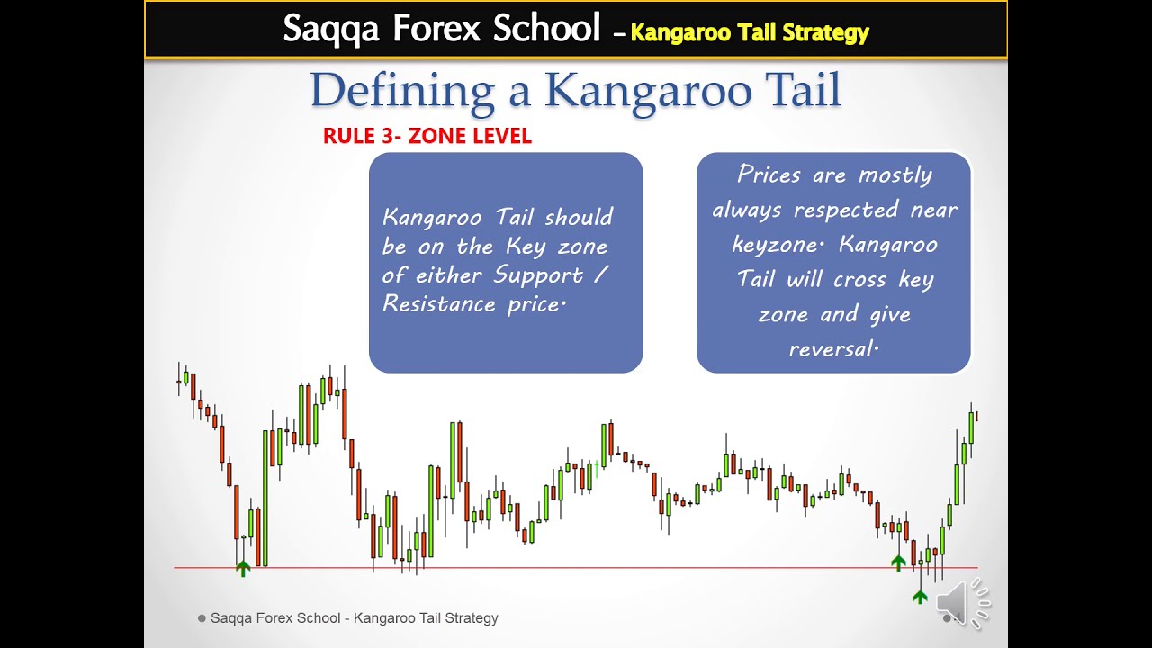 Forex Strategy- How to use Kangaroo Tails in your forex trading. - YouTube