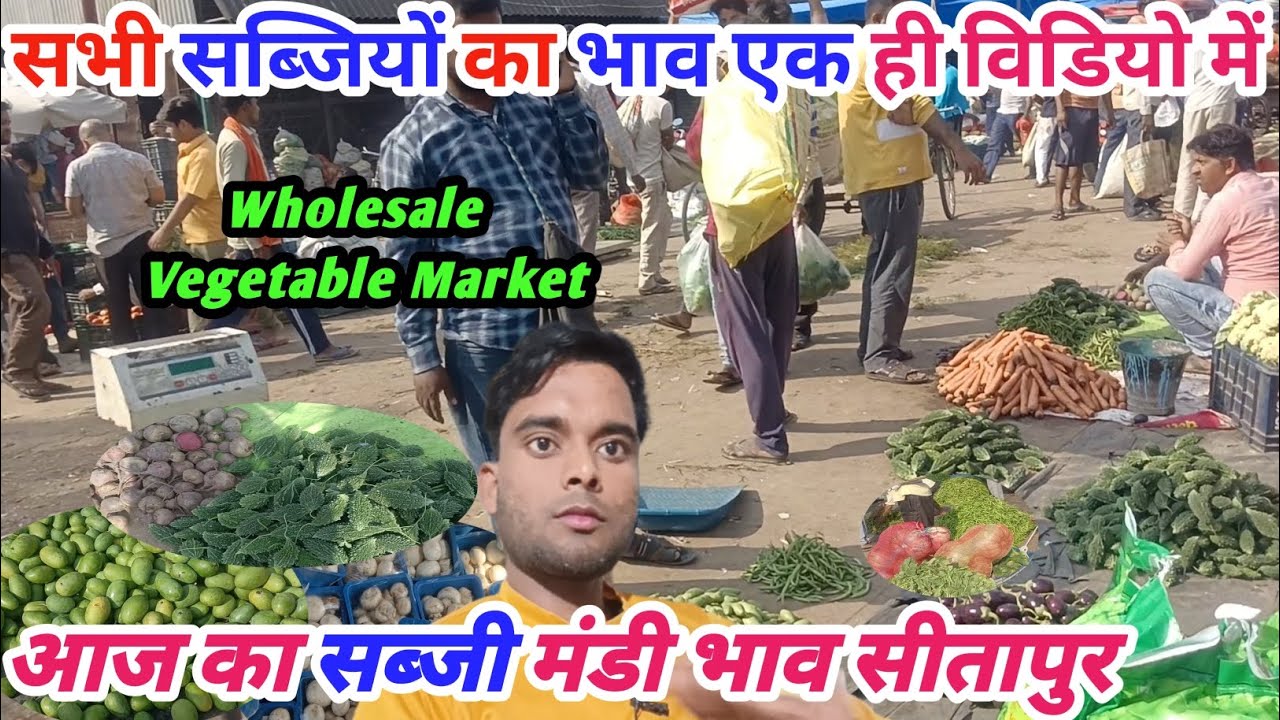 सभी सब्जियों का भाव एक ही विडियो में | Wholesale Vegetables Market ...