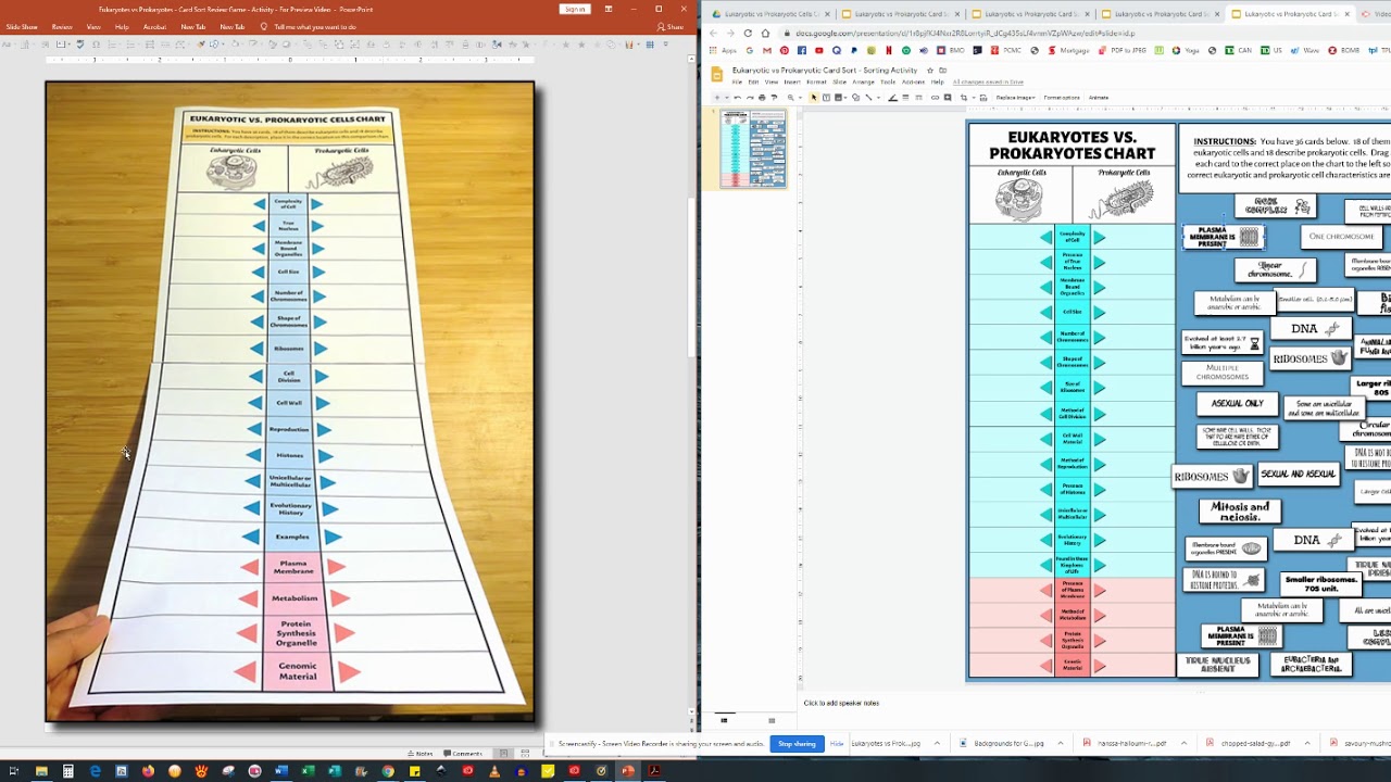 Eukaryotic Cell vs. Prokaryotic Cell Card Sort Activity | Distance ...