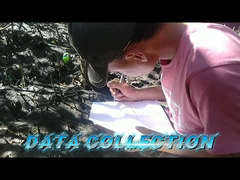 Final Examination in TTL