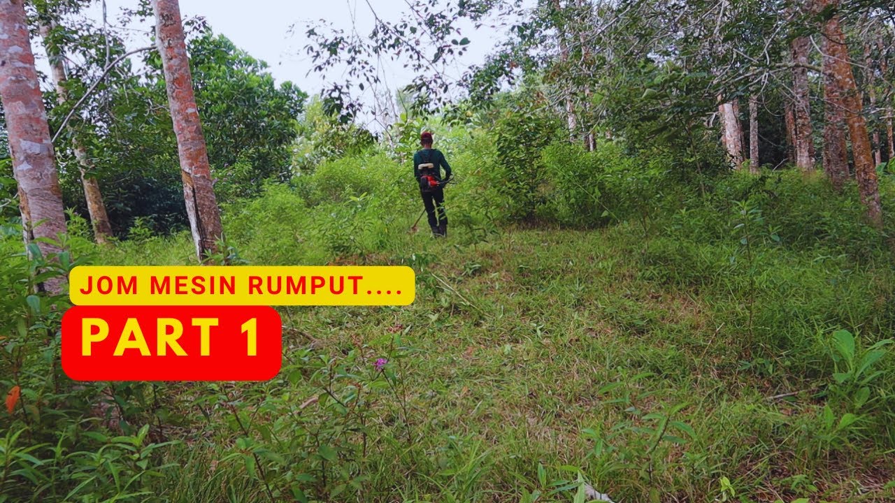 MESIN SEMAK SAMUN DI KEBUN GETAH - YouTube