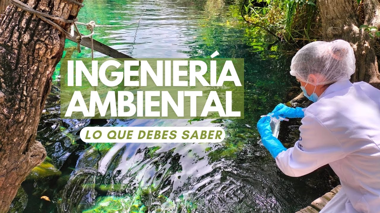 7 VERDADES de la carrera de ingeniería ambiental🌱 - YouTube