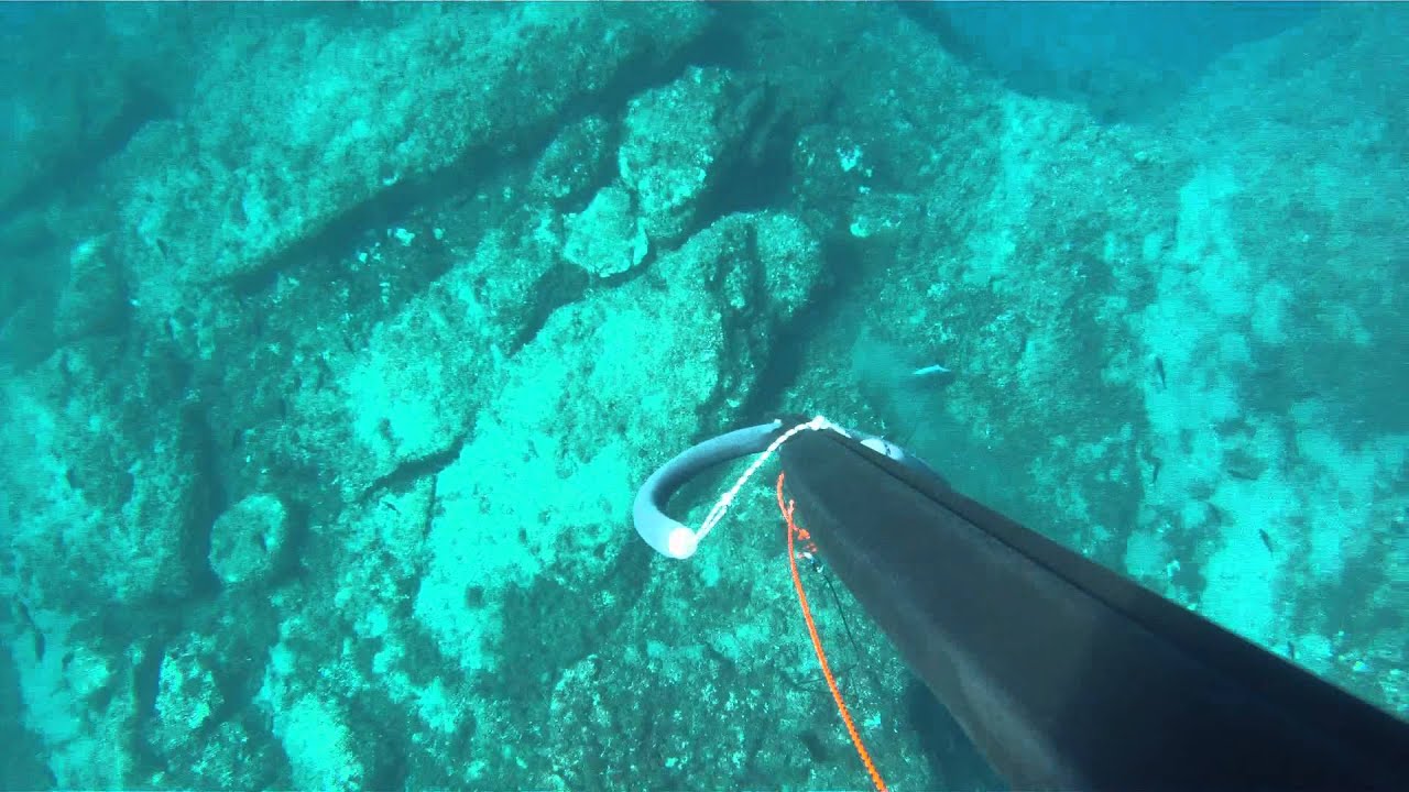 Pesca apnea pesce pappagallo - YouTube