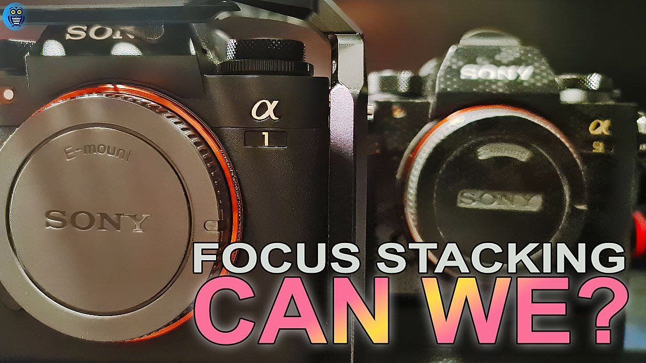 Sony A1 and A9 Focus Stacking - The Ugly Ducklings - YouTube