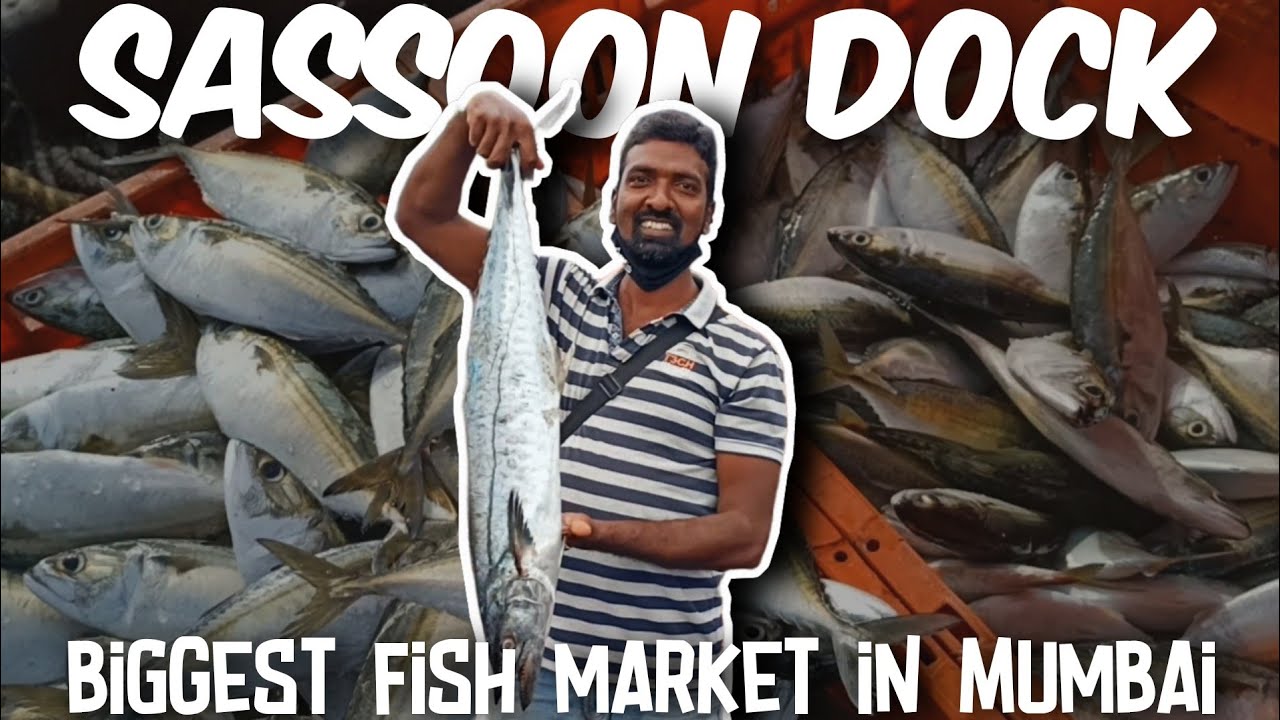 Sassoon dock fish market | Biggest fish market | Fish market in Mumbai ...